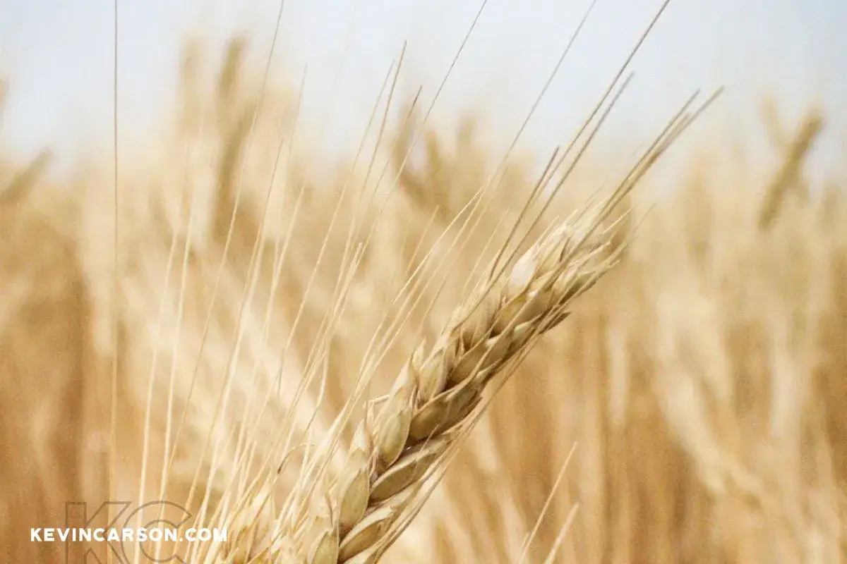 The Best Is Yet To Come | Ruth 4 · H.B. Charles Jr.